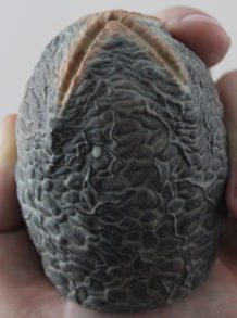 Loot Crate Limited Edition Aliens Crate Review | MSA