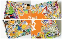 The Nick Box Subscription Box Review - Summer 2016 | MSA