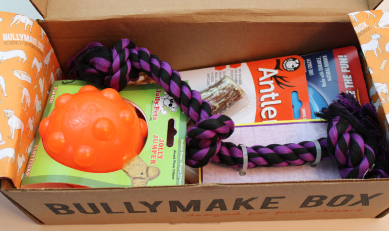 The 9 Best Pet Subscription Boxes - Voted By Subscribers! | MSA