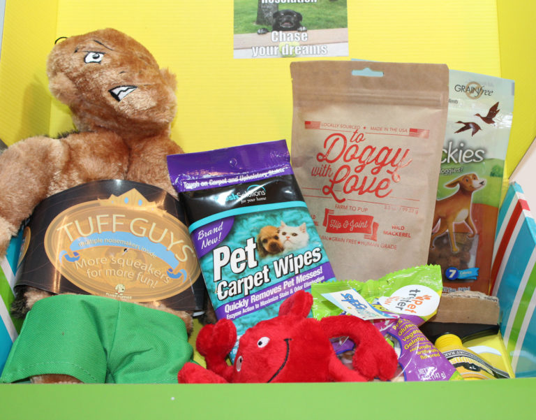 The 9 Best Pet Subscription Boxes - Voted By Subscribers! | MSA