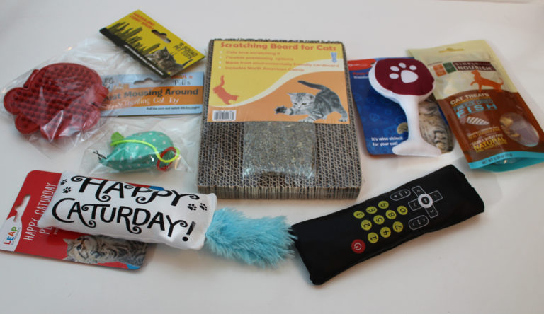 The 9 Best Pet Subscription Boxes - Voted By Subscribers! | MSA