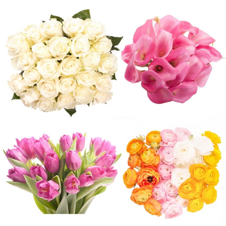 Best Floral & Fresh Flower Subscription Services and Boxes | MSA