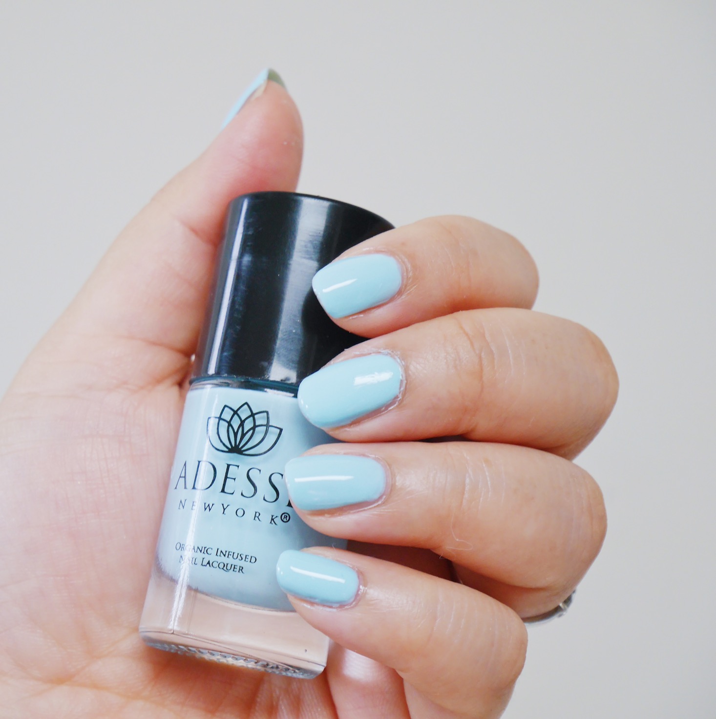 Ipsy Review – May 2017 | MSA