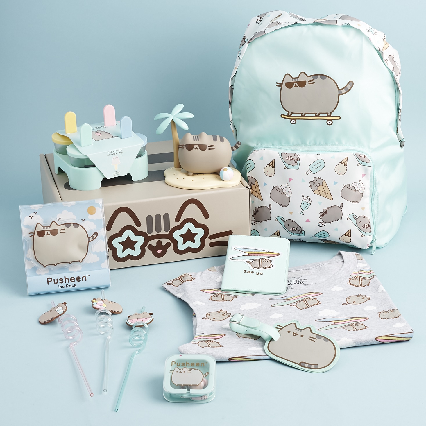 Pusheen Box Summer 2017 Subscription Box Review | MSA