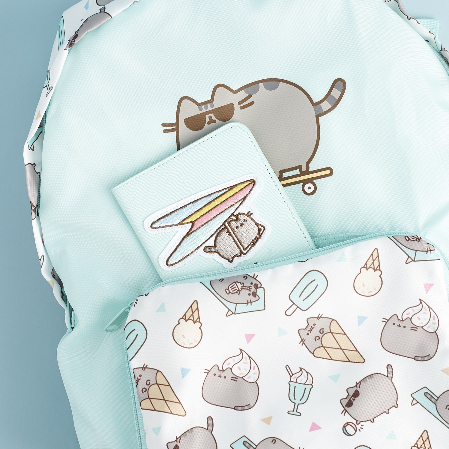 Pusheen Box Summer 2017 Subscription Box Review | MSA