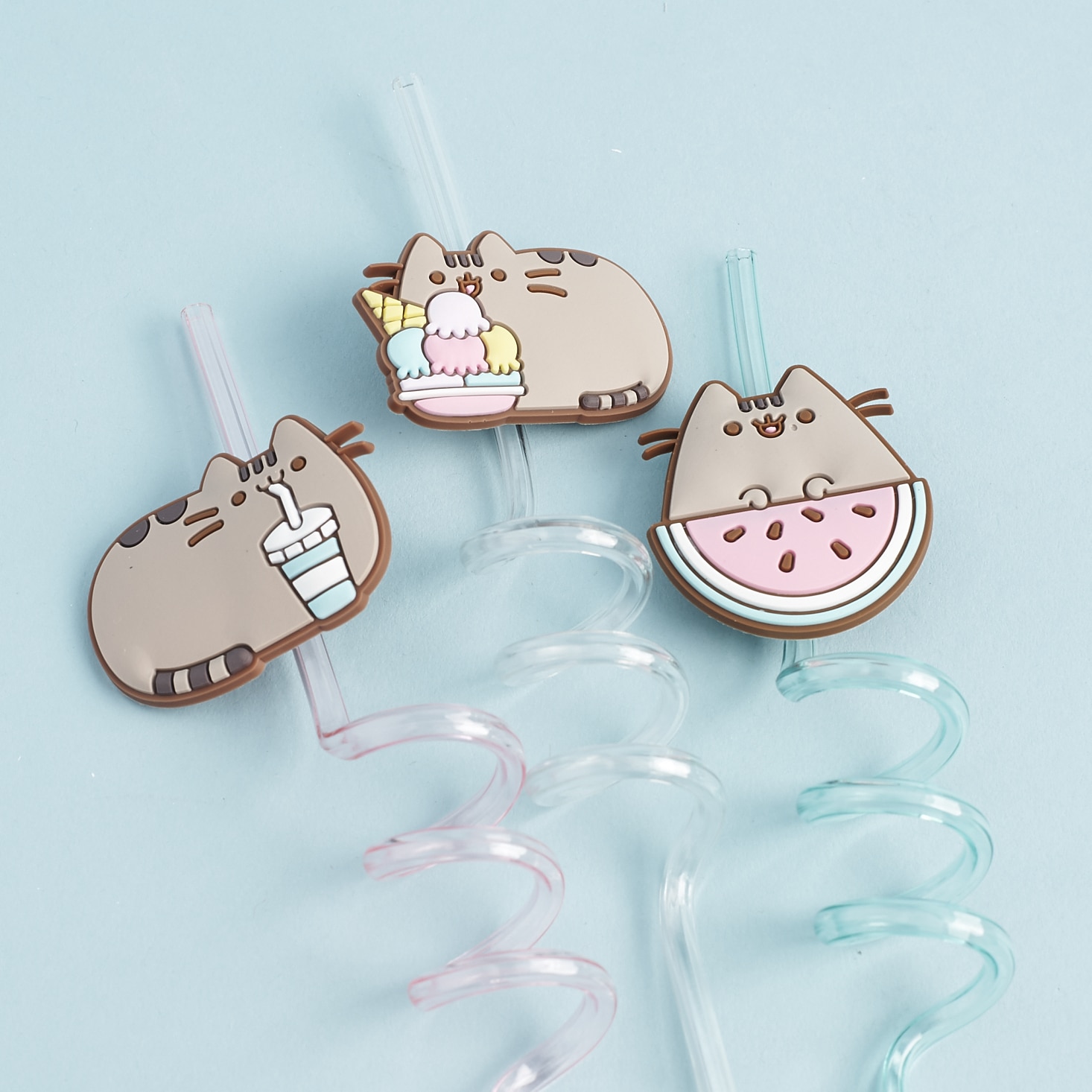 Pusheen Box Summer 2017 Subscription Box Review | MSA