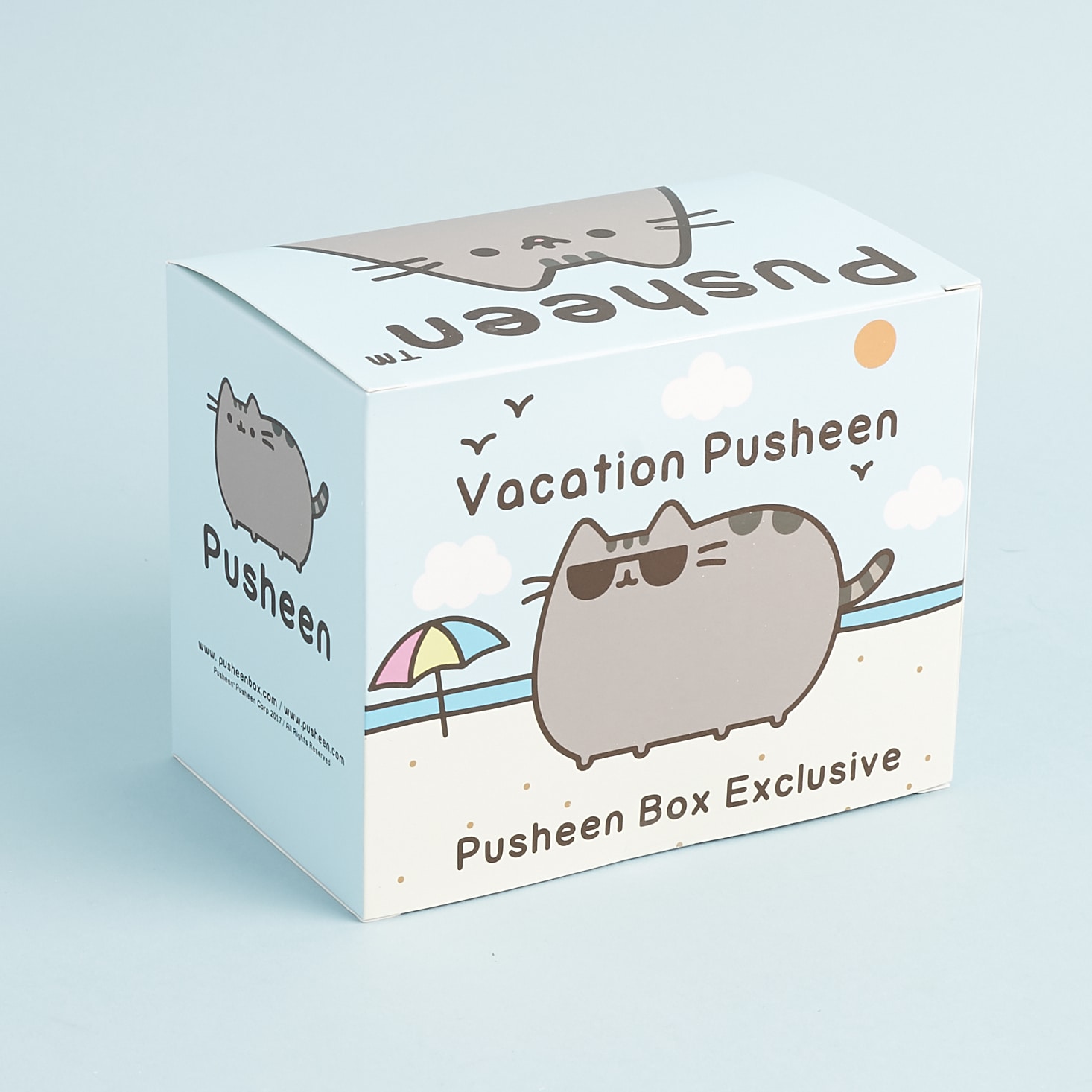 Pusheen Box Summer 2017 Subscription Box Review | MSA