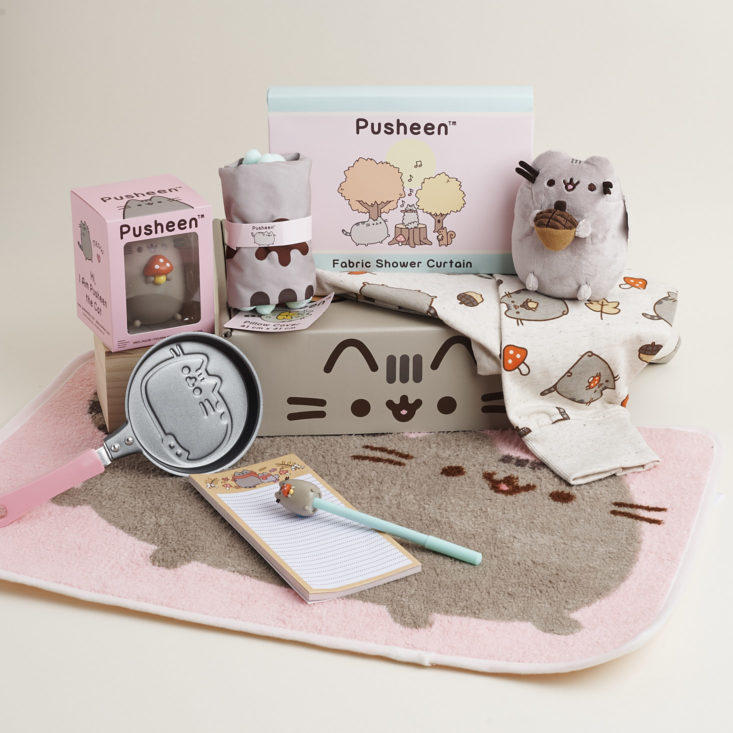 Pusheen Box Subscription Review - Fall 2017 | MSA