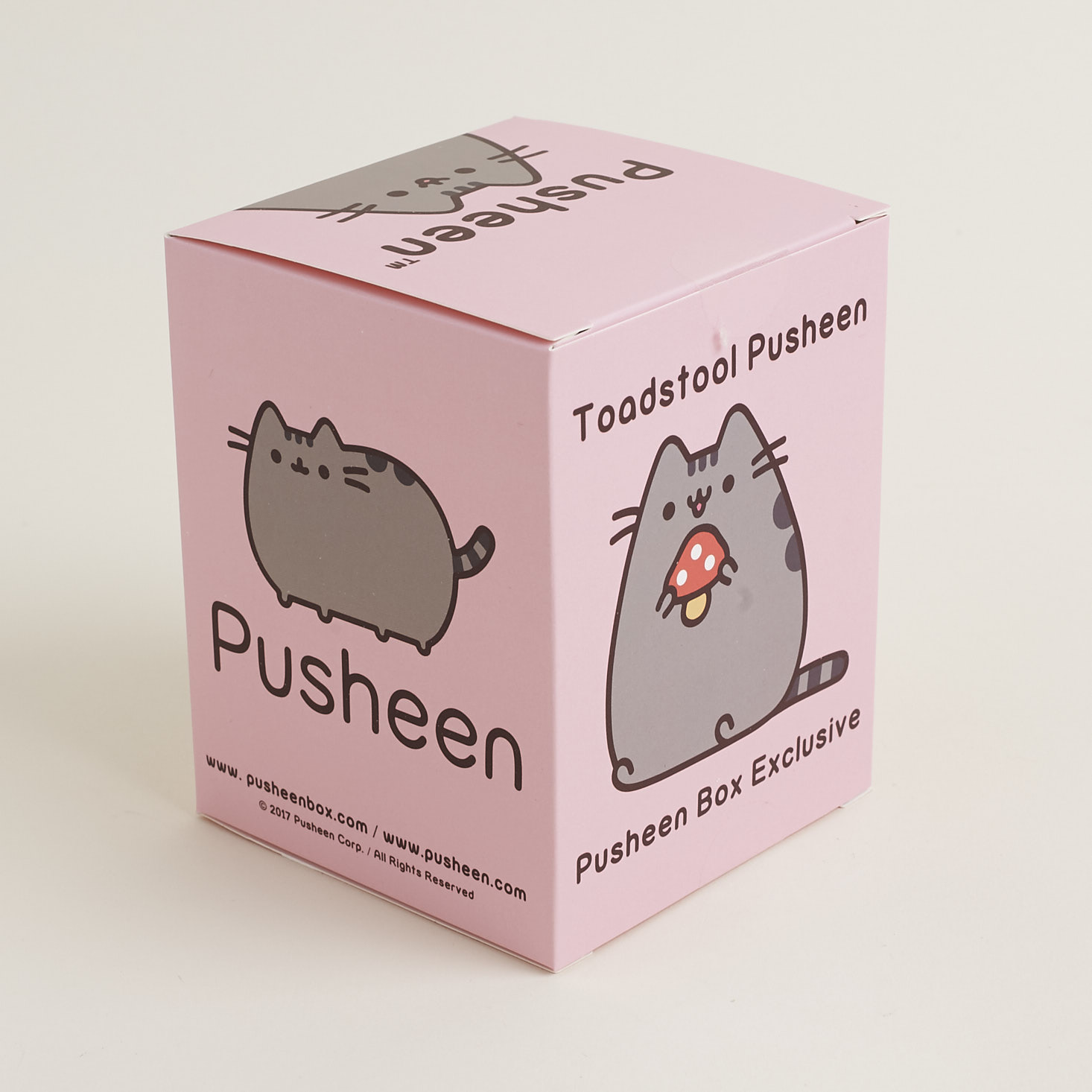 Pusheen Box Subscription Review - Fall 2017 | MSA