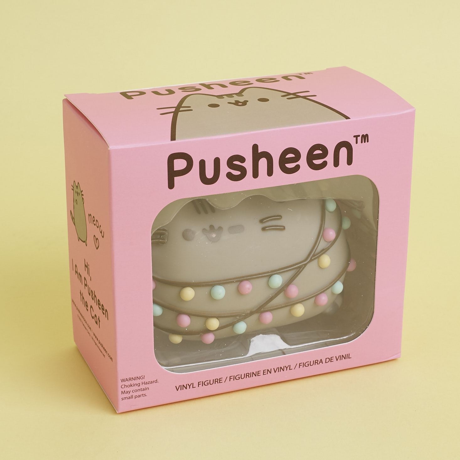 Pusheen Box Subscription Review - Winter 2017 | MSA