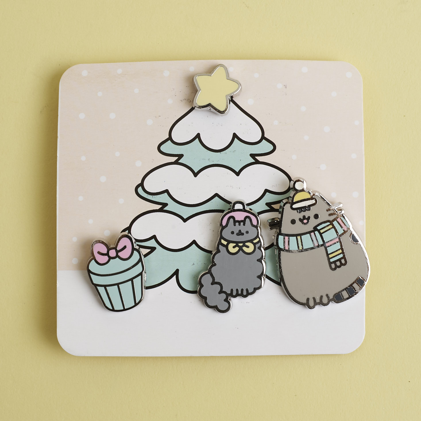 Pusheen Box Subscription Review - Winter 2017 | MSA