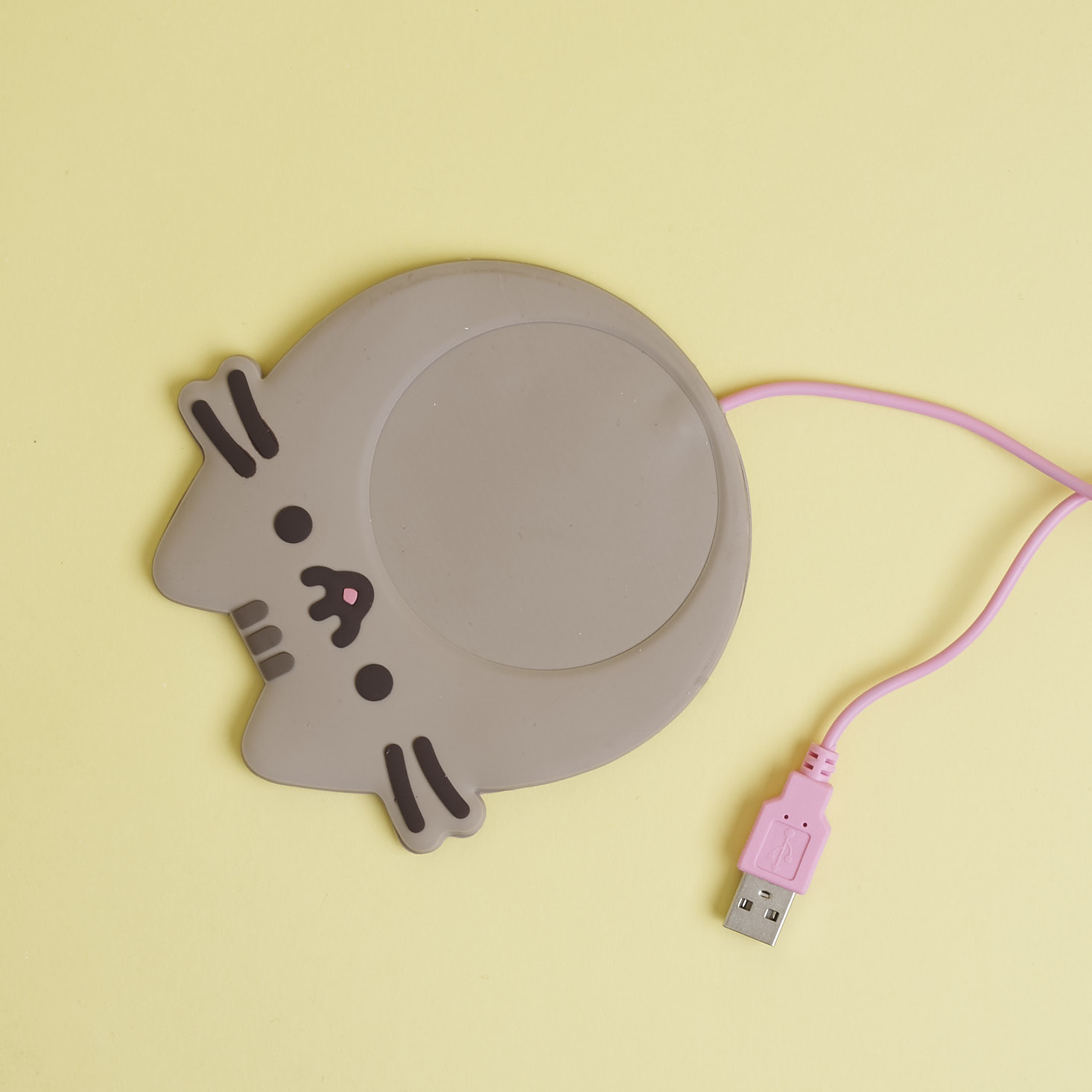 Pusheen Box Subscription Review - Winter 2017 | MSA