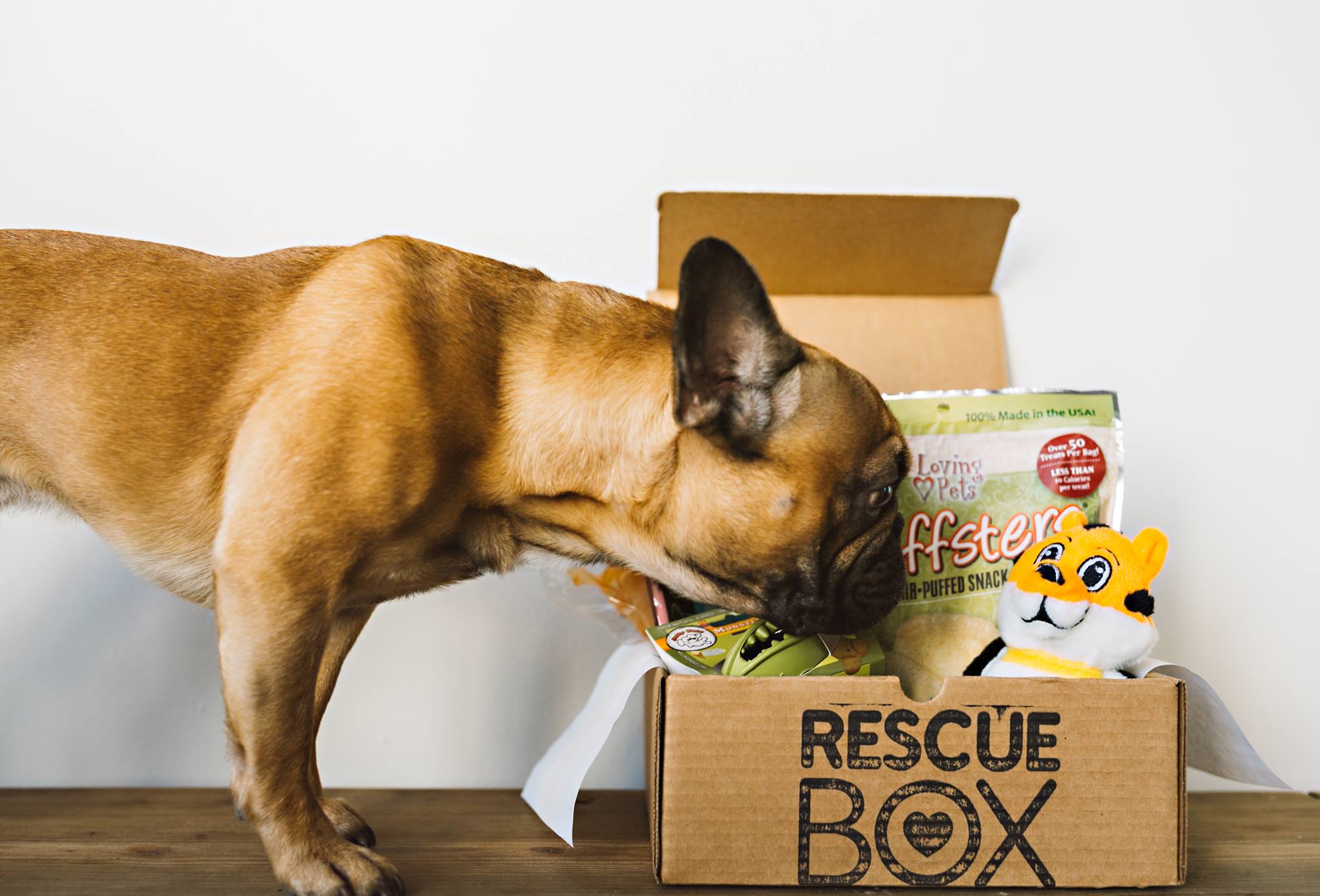 20 Best Charitable Subscription Boxes You Can Feel Good About | MSA