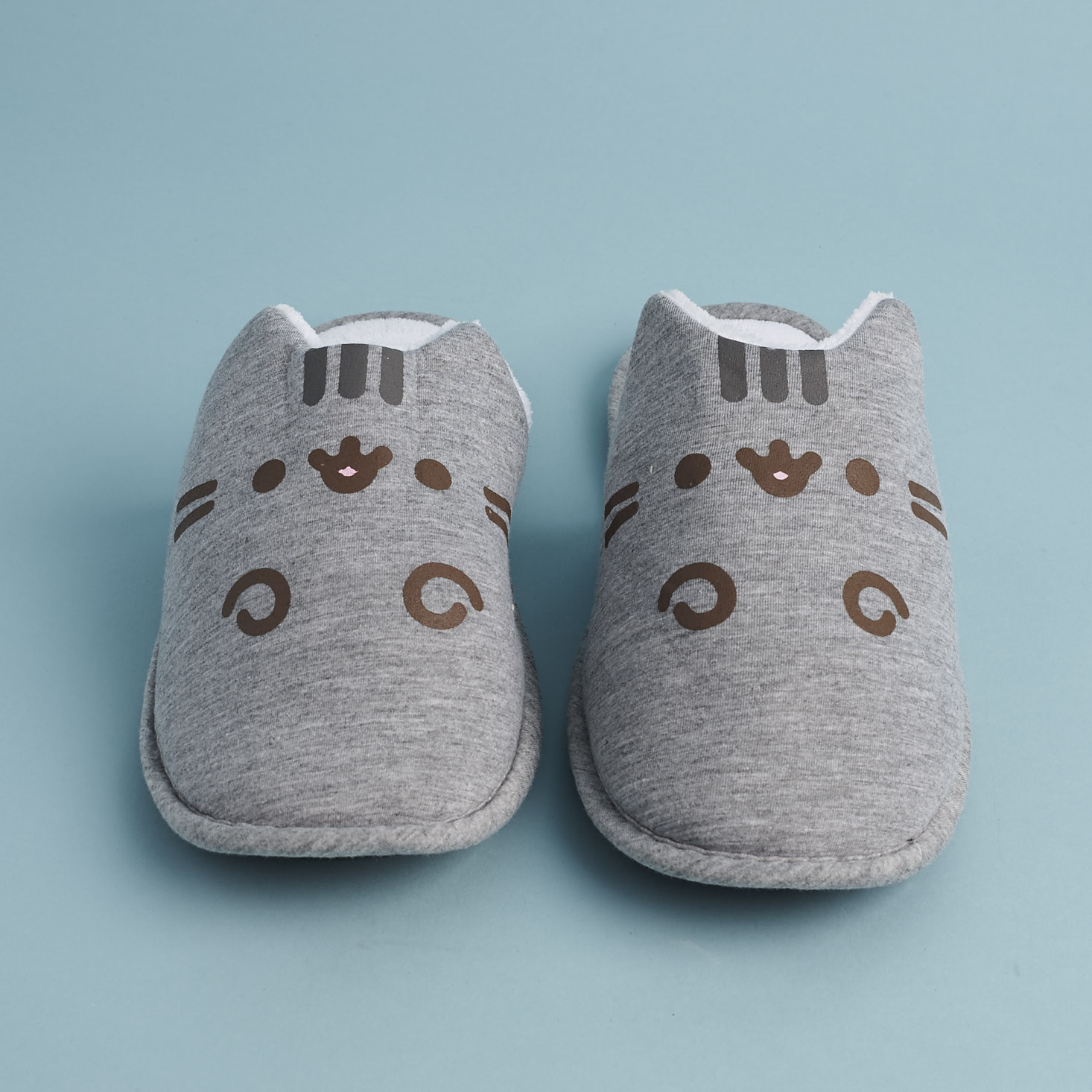 Pusheen Box Subscription Review - Spring 2018 | MSA