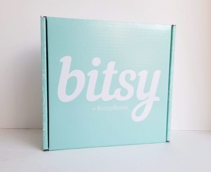 Bitsy Boxes Reviews: Everything You Need To Know