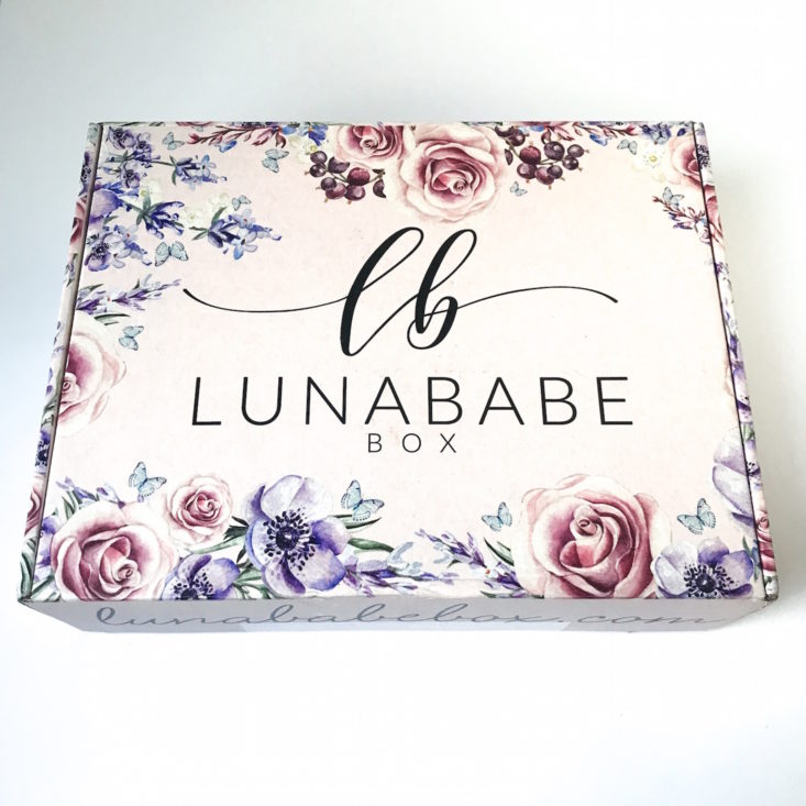 LunaBabe Box Lifestyle Subscription Review - June 2018 | MSA