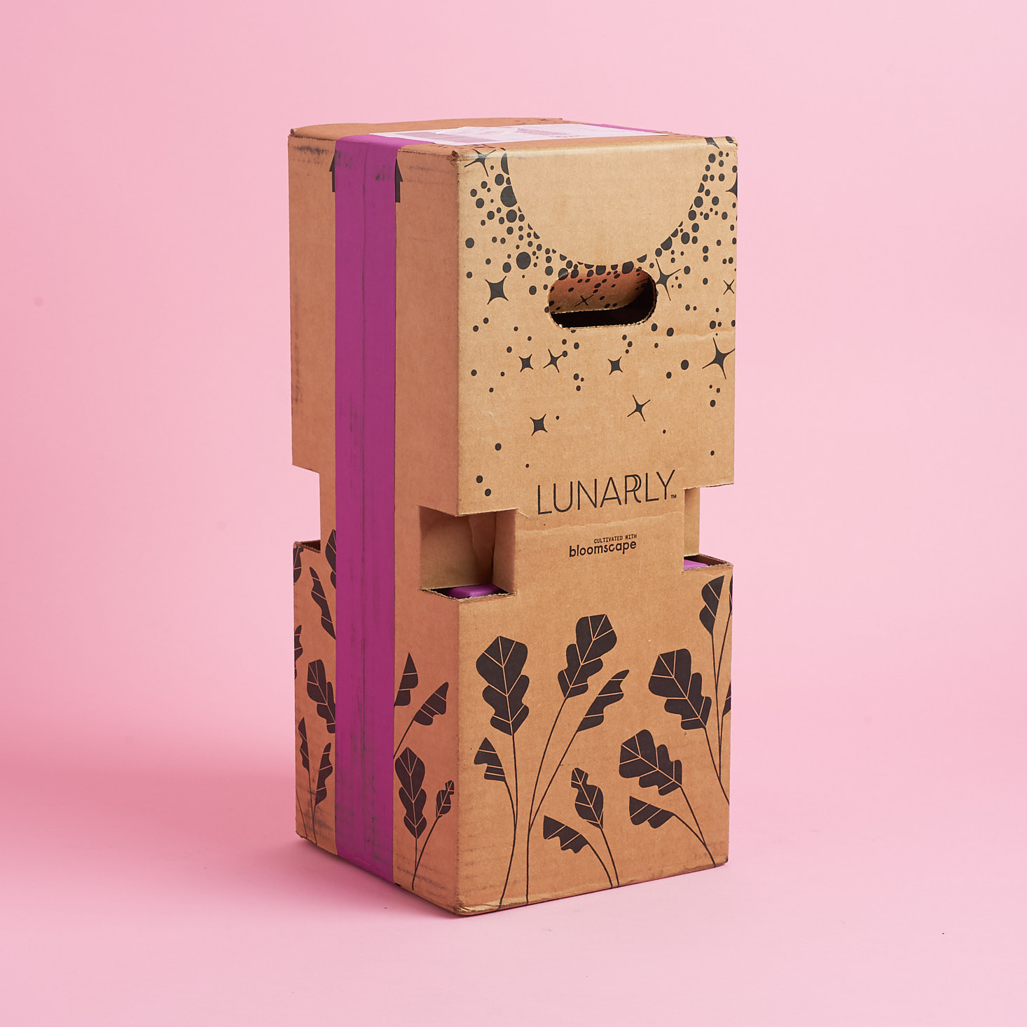 Lunarly “Sturgeon Moon” Subscription Box Review – August 2018 | My ...