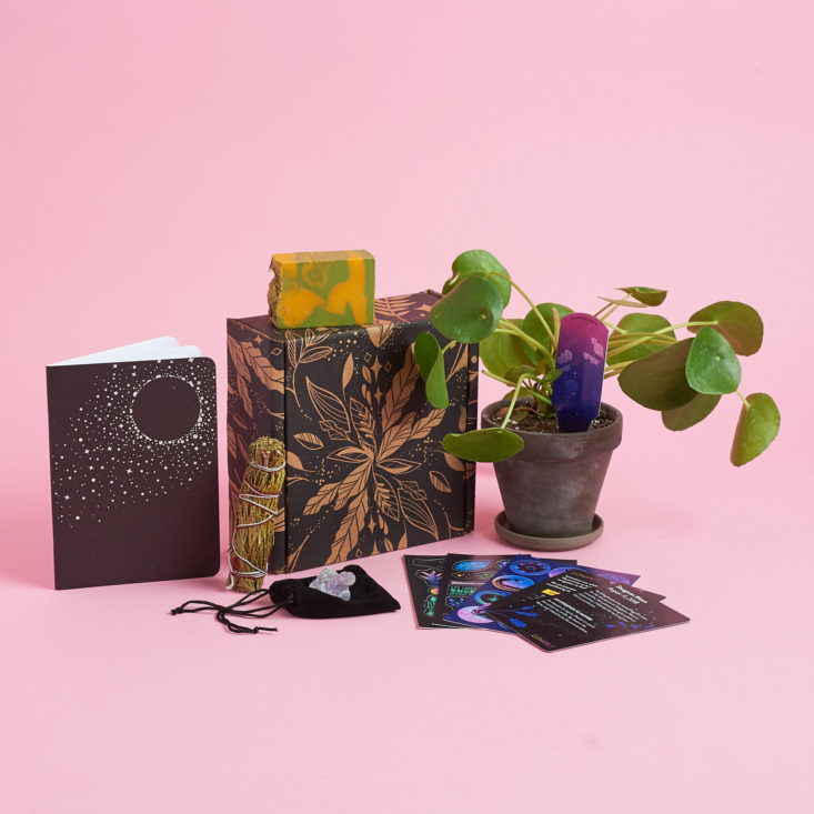 Lunarly “Sturgeon Moon” Subscription Box Review – August 2018 | My ...