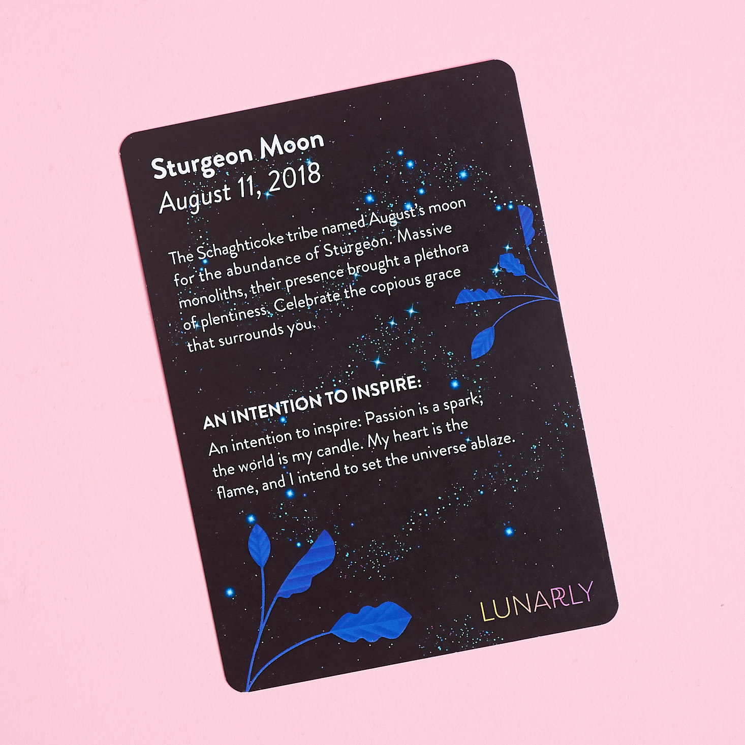 Lunarly “Sturgeon Moon” Subscription Box Review – August 2018 | My ...
