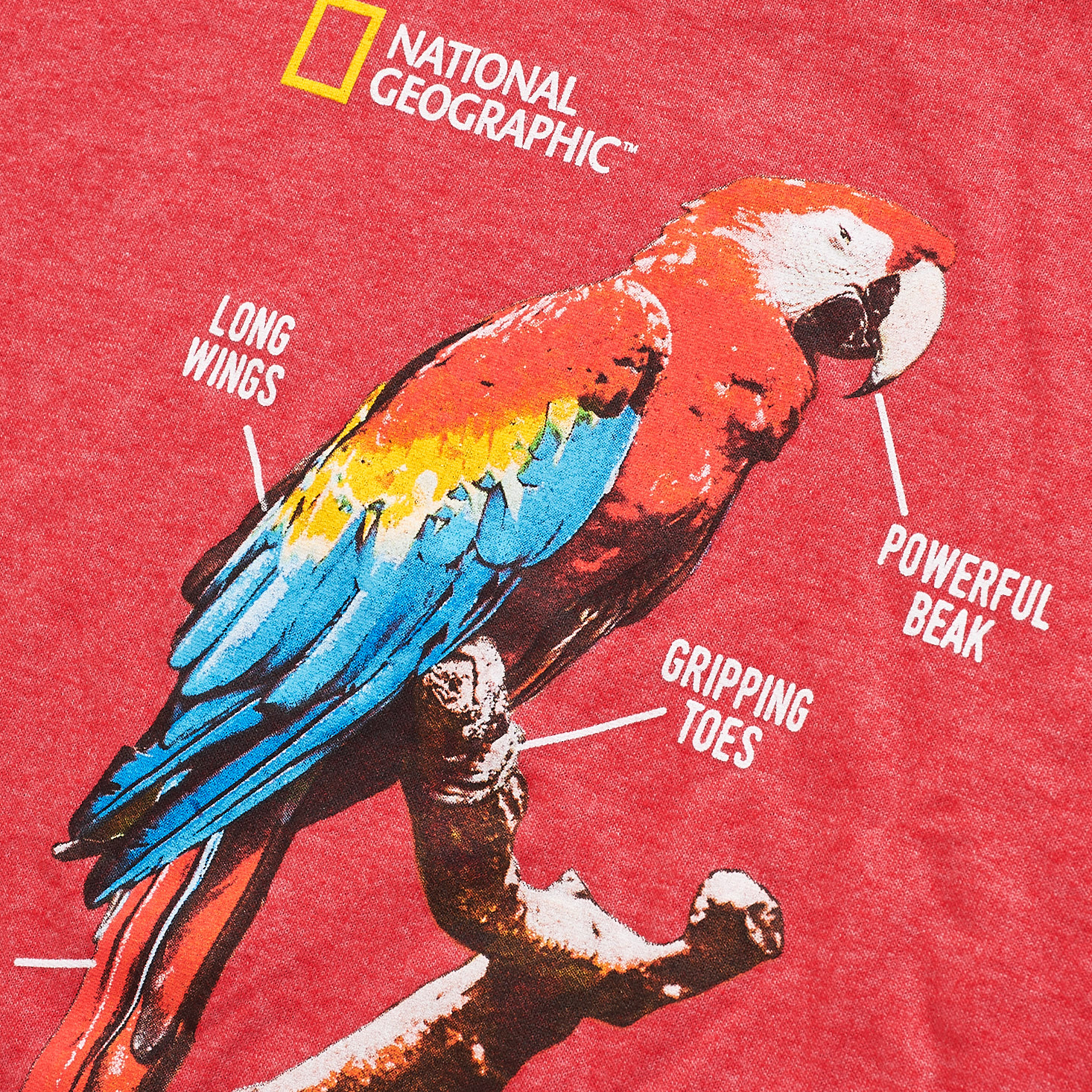 National Geographic Kids Box Review: Mission Amazon | MSA