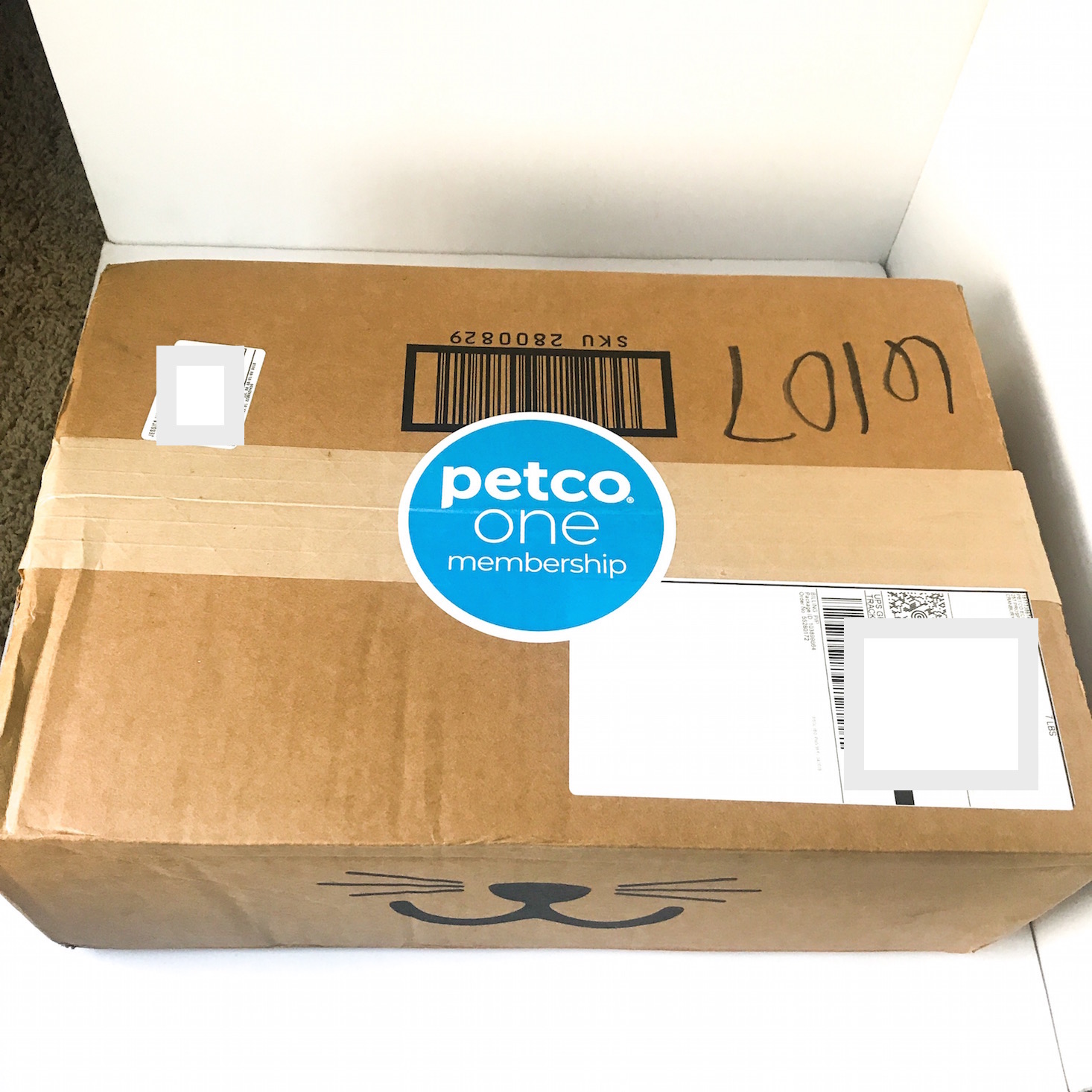 Petco One Membership Cat Box Review | MSA