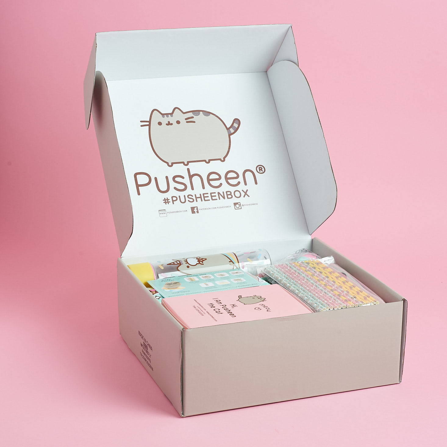 Pusheen Box Subscription Review - Summer 2018 | MSA