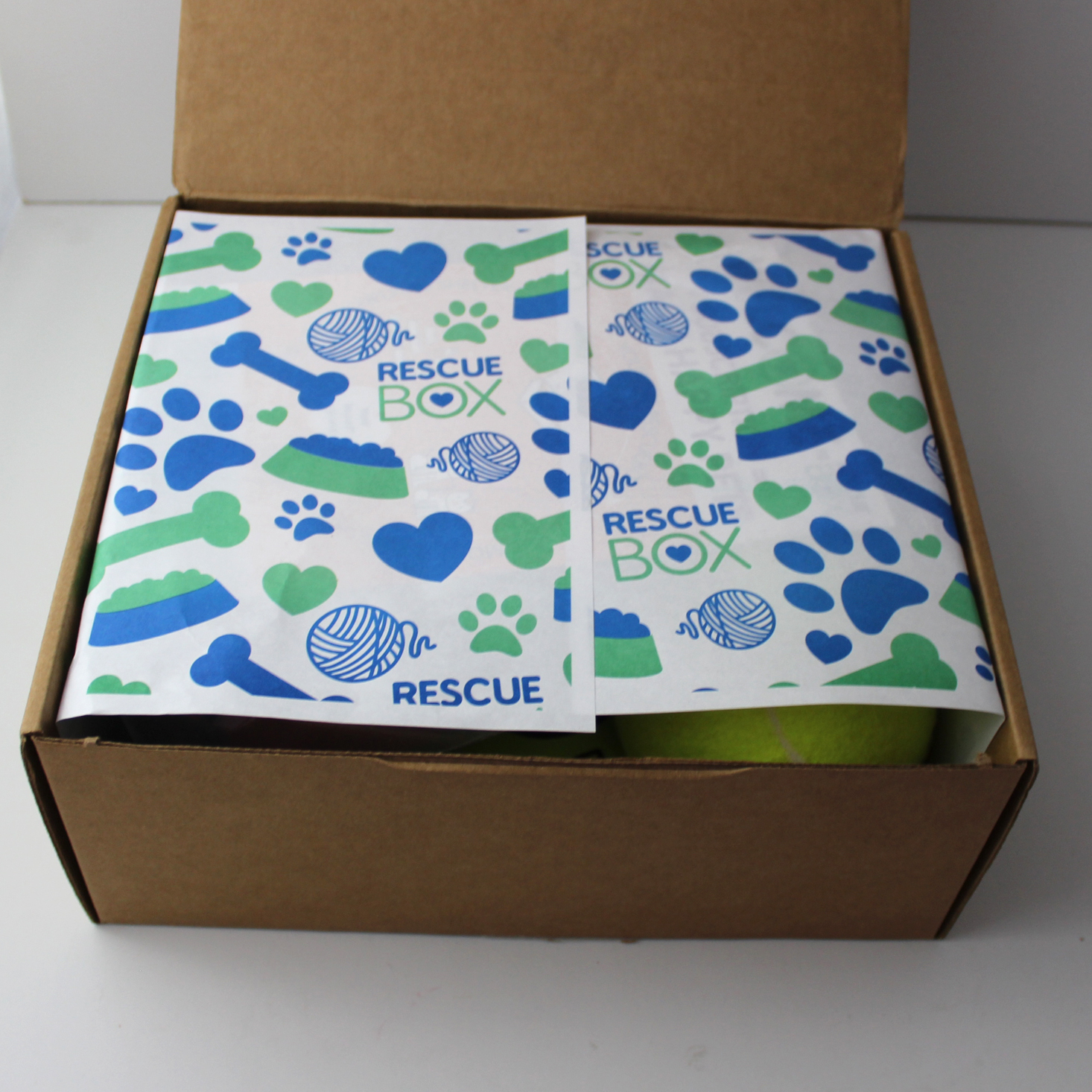 Rescue Box Dog Subscription Box Review – October 2018 | MSA