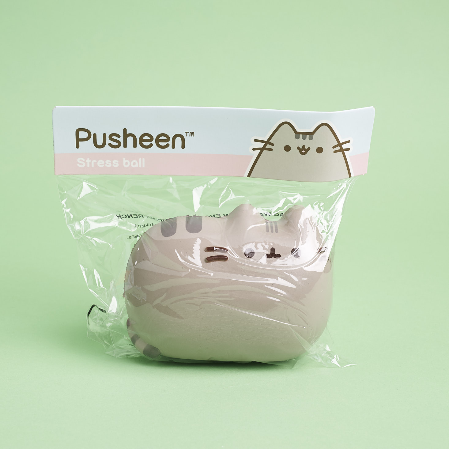 Pusheen Box Subscription Review - Fall 2018 | MSA