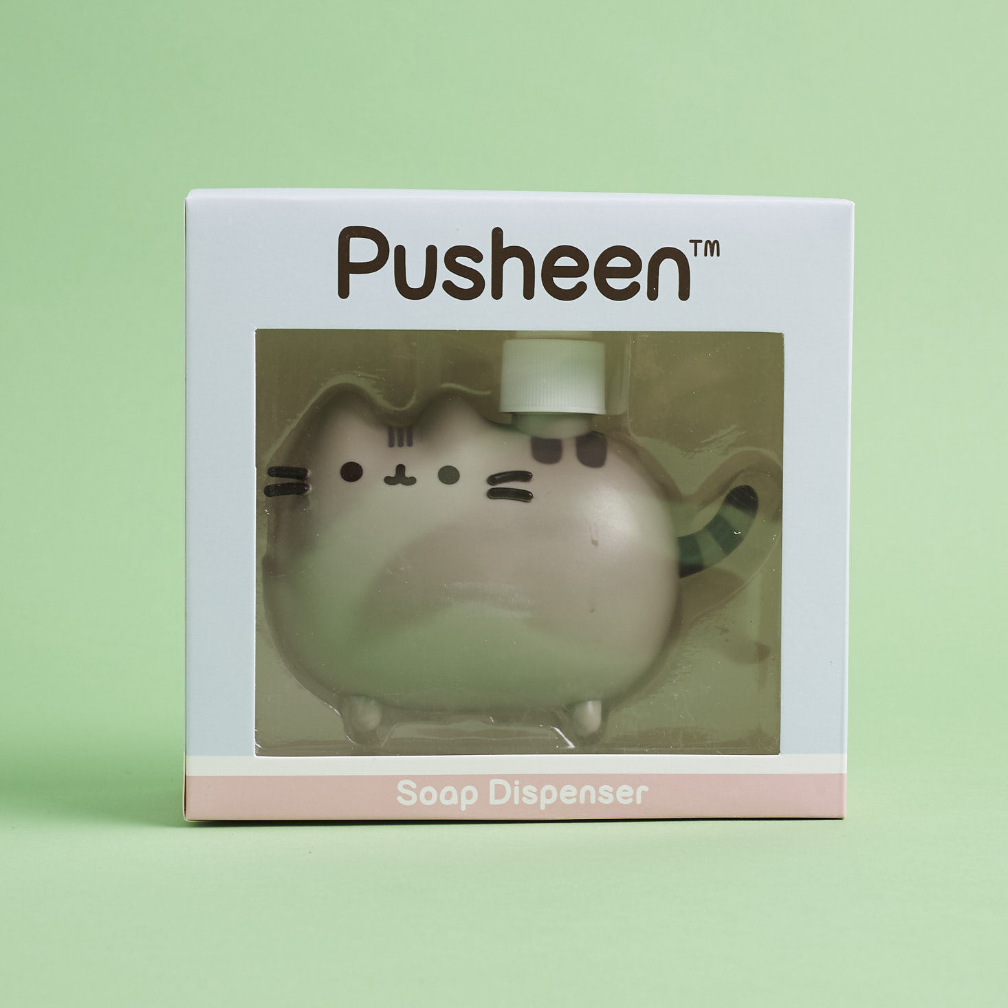 Pusheen Box Subscription Review - Fall 2018 | MSA