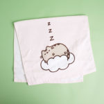 Pusheen Box Subscription Review - Fall 2018 | MSA