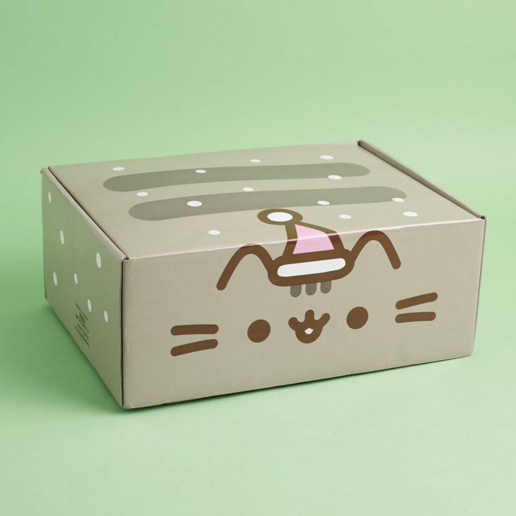 Pusheen Box Subscription Review - Winter 2018 | MSA