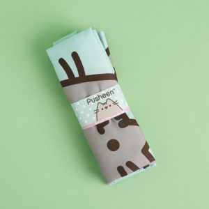 Pusheen Box Subscription Review - Winter 2018 | MSA