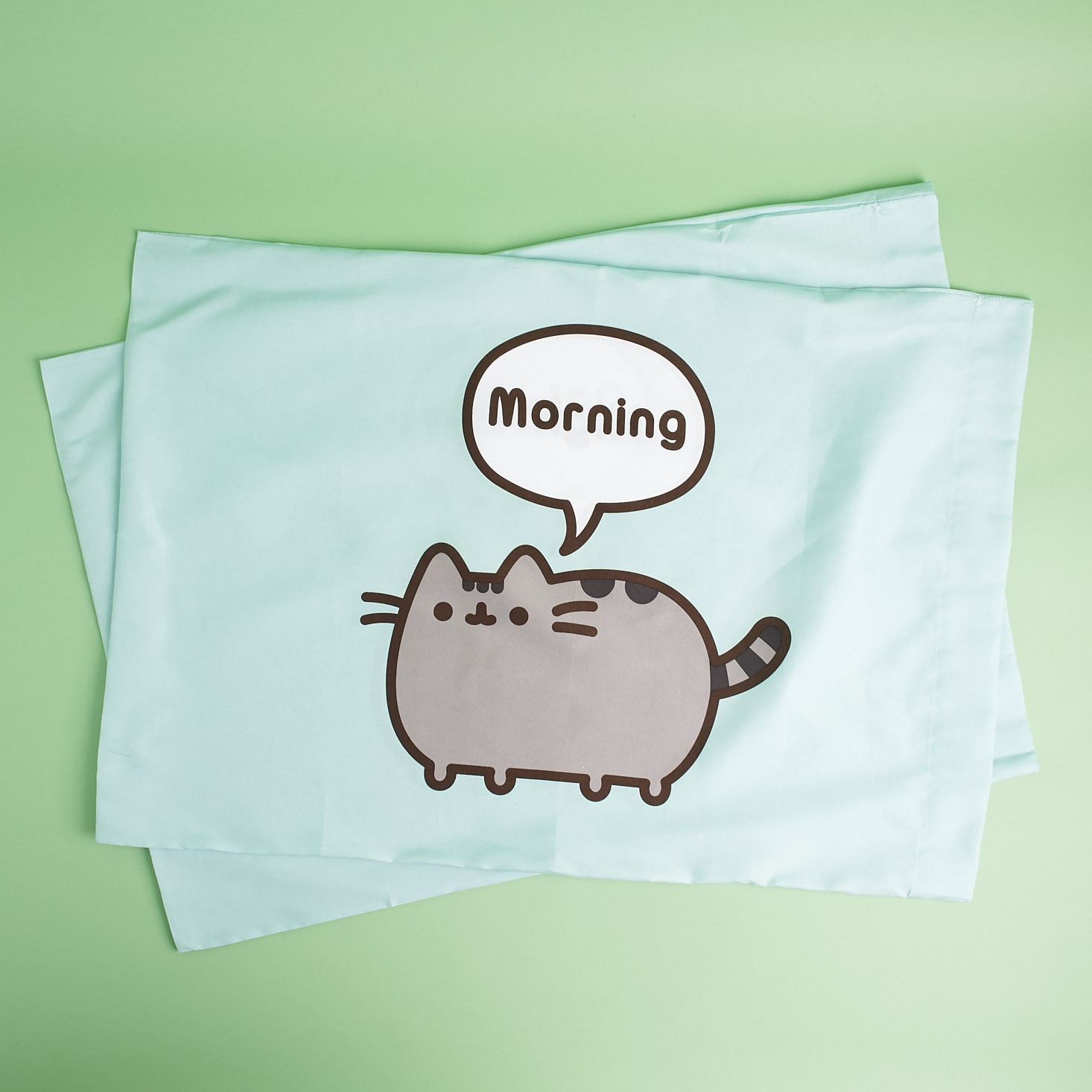 Pusheen Box Subscription Review - Winter 2018 | MSA