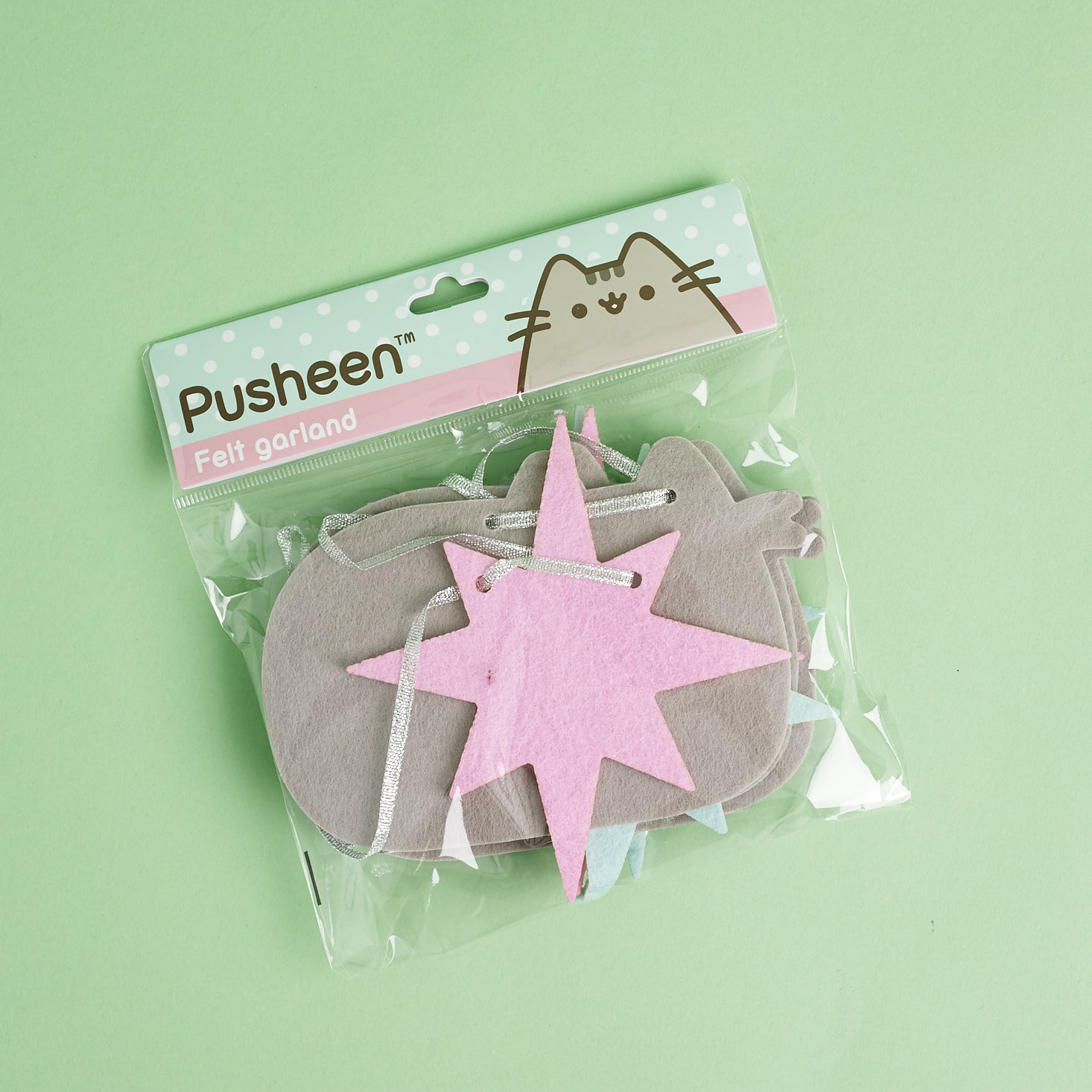 Pusheen Box Subscription Review - Winter 2018 | MSA