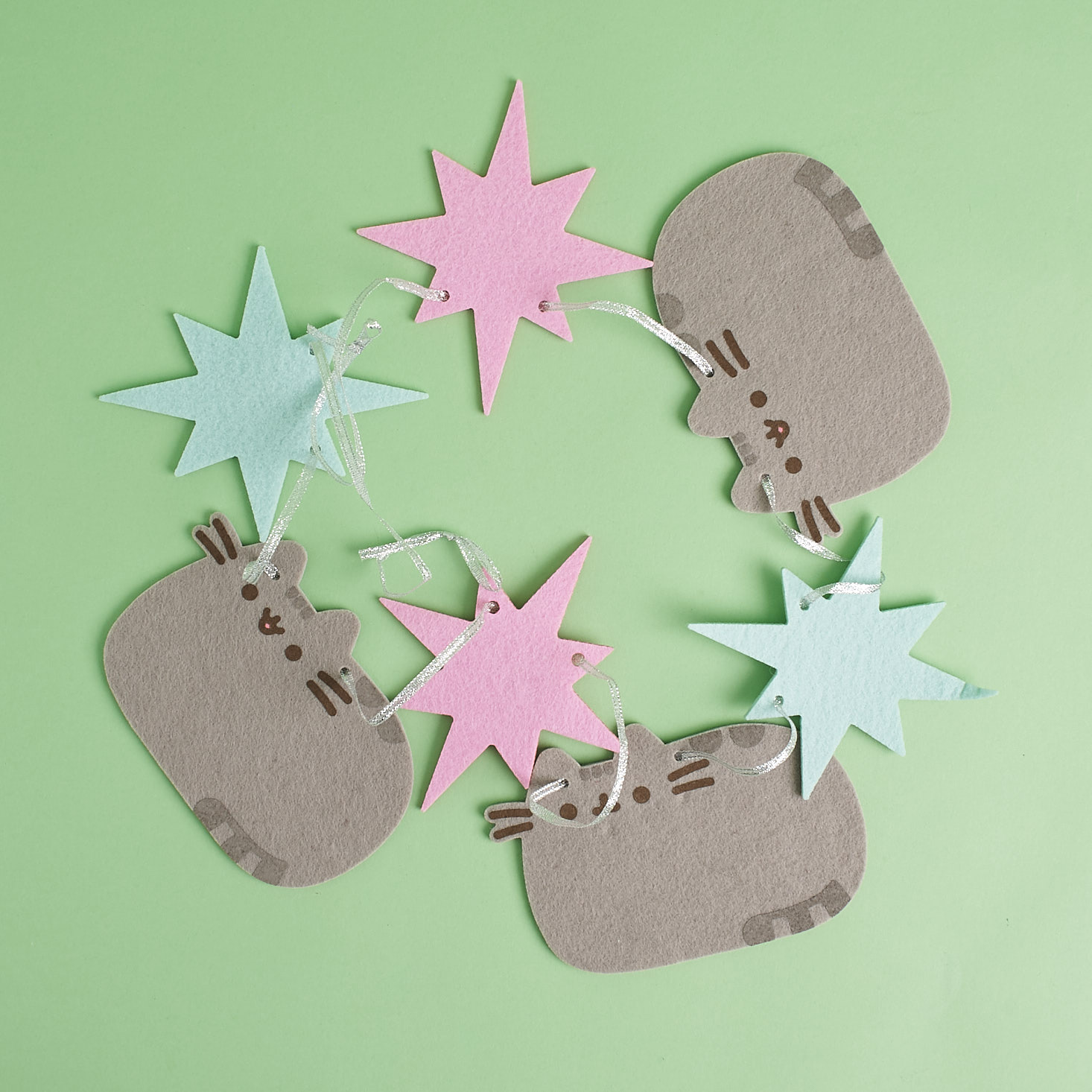 Pusheen Box Subscription Review - Winter 2018 | MSA