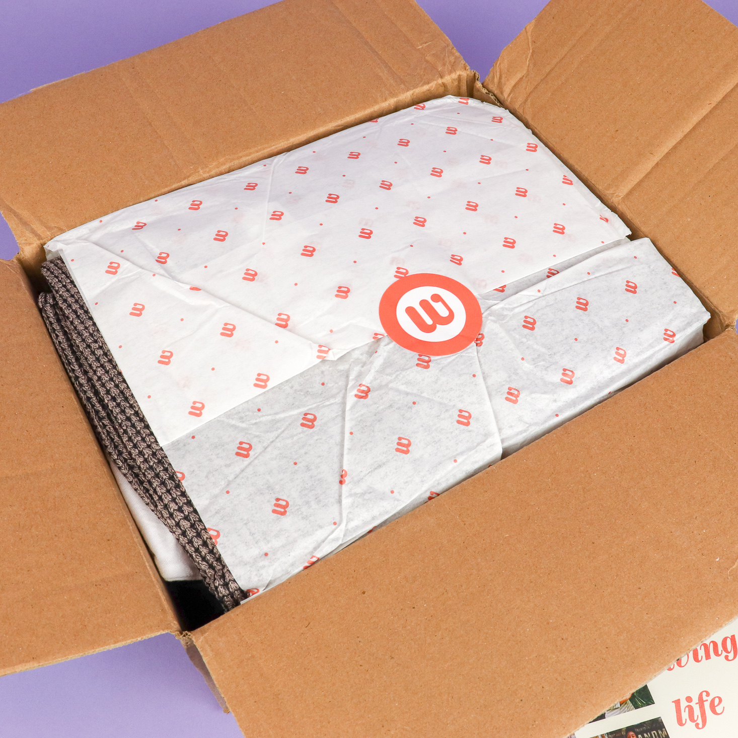 Wantable Style Edit Subscription Box Review – January 2019 | MSA