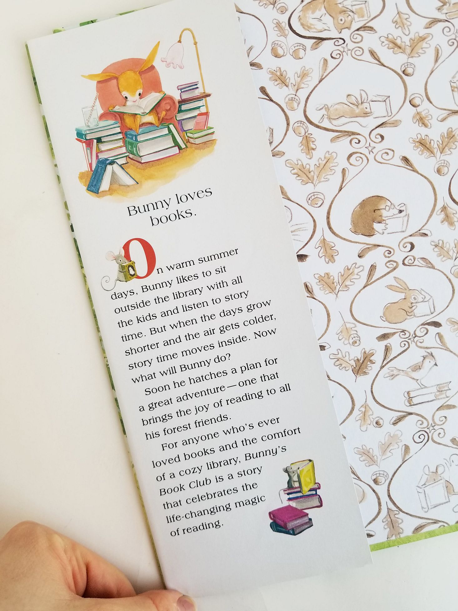 Amazon Prime Book Box, Ages 3-5 Review - February 2019 | MSA