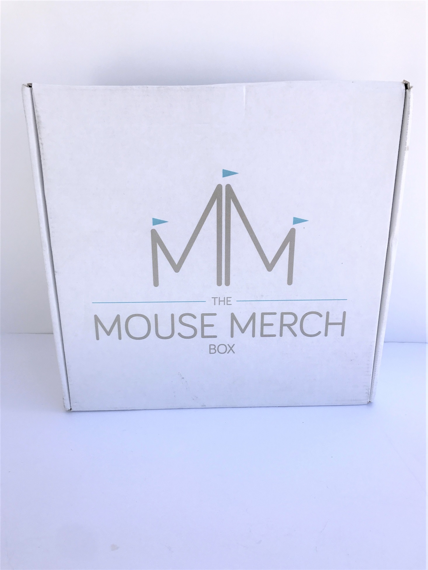 The Mouse Merch Box Review - Spring 2019 | MSA