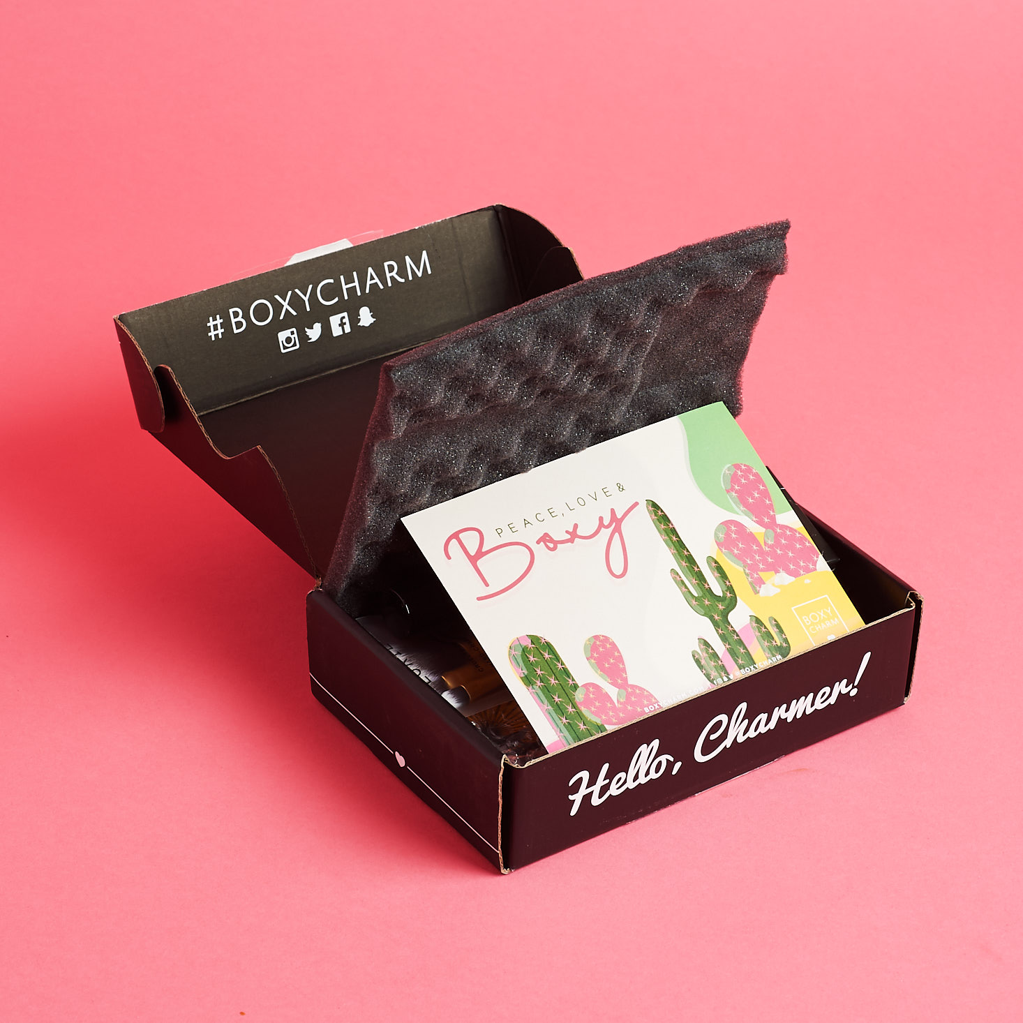 BoxyCharm Subscription Box Review - April 2019 | MSA