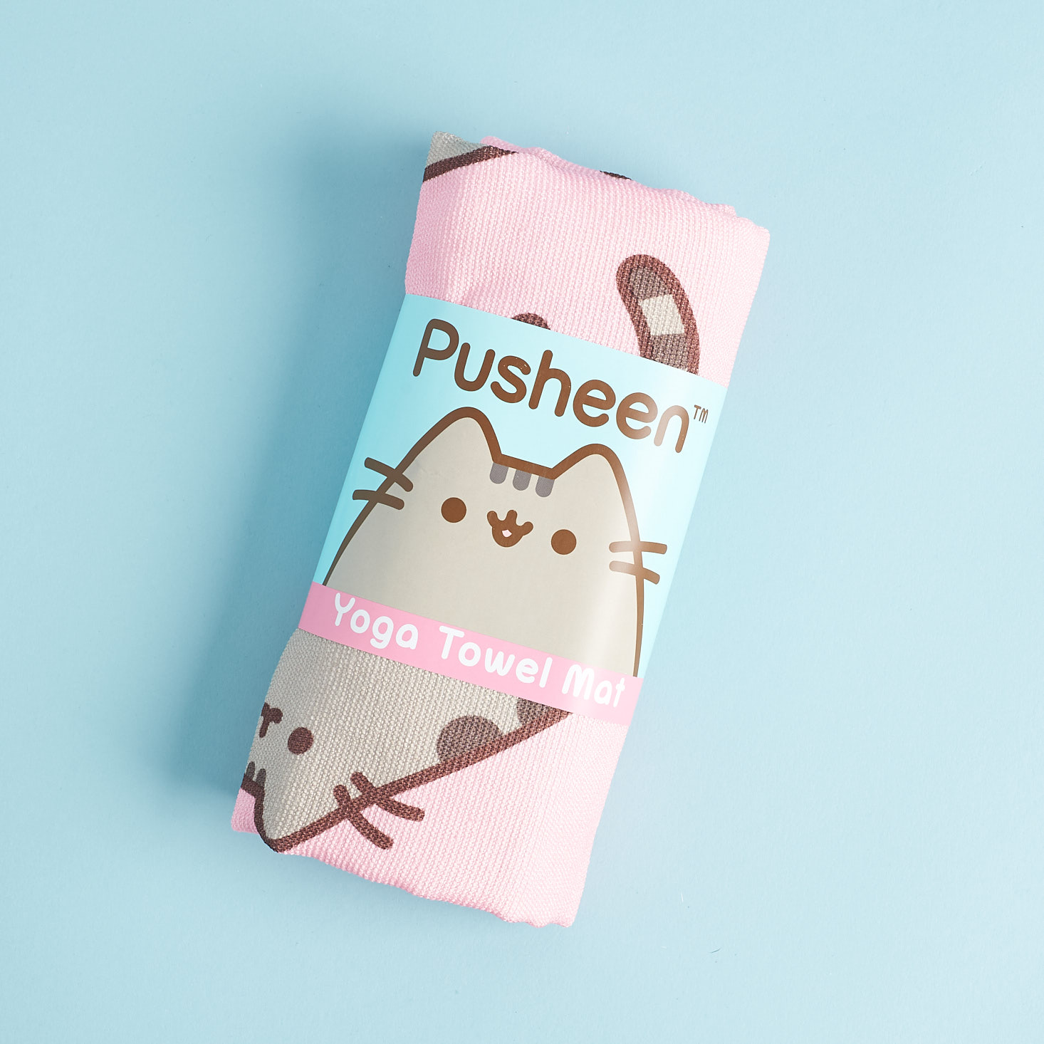 Pusheen Box Subscription Review - Spring 2019 | MSA
