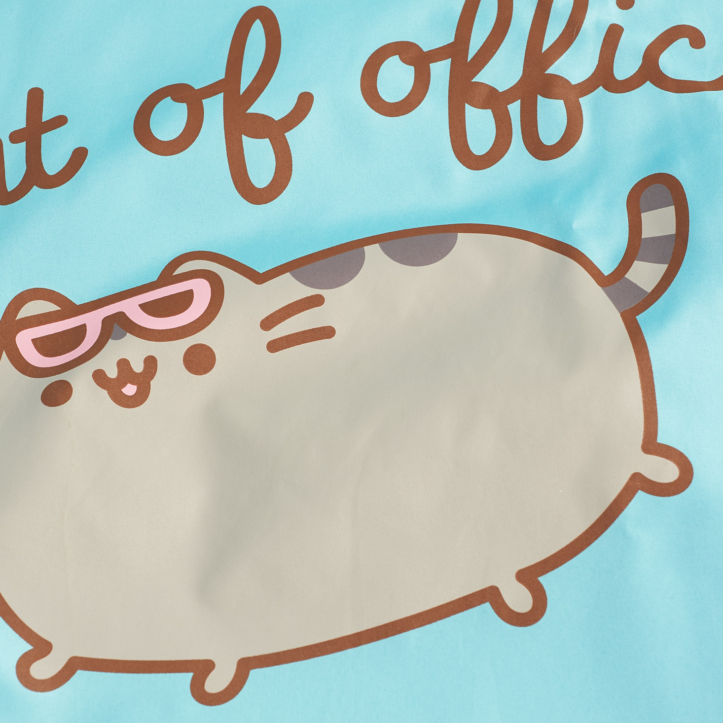 Pusheen Box Subscription Review - Spring 2019 | MSA