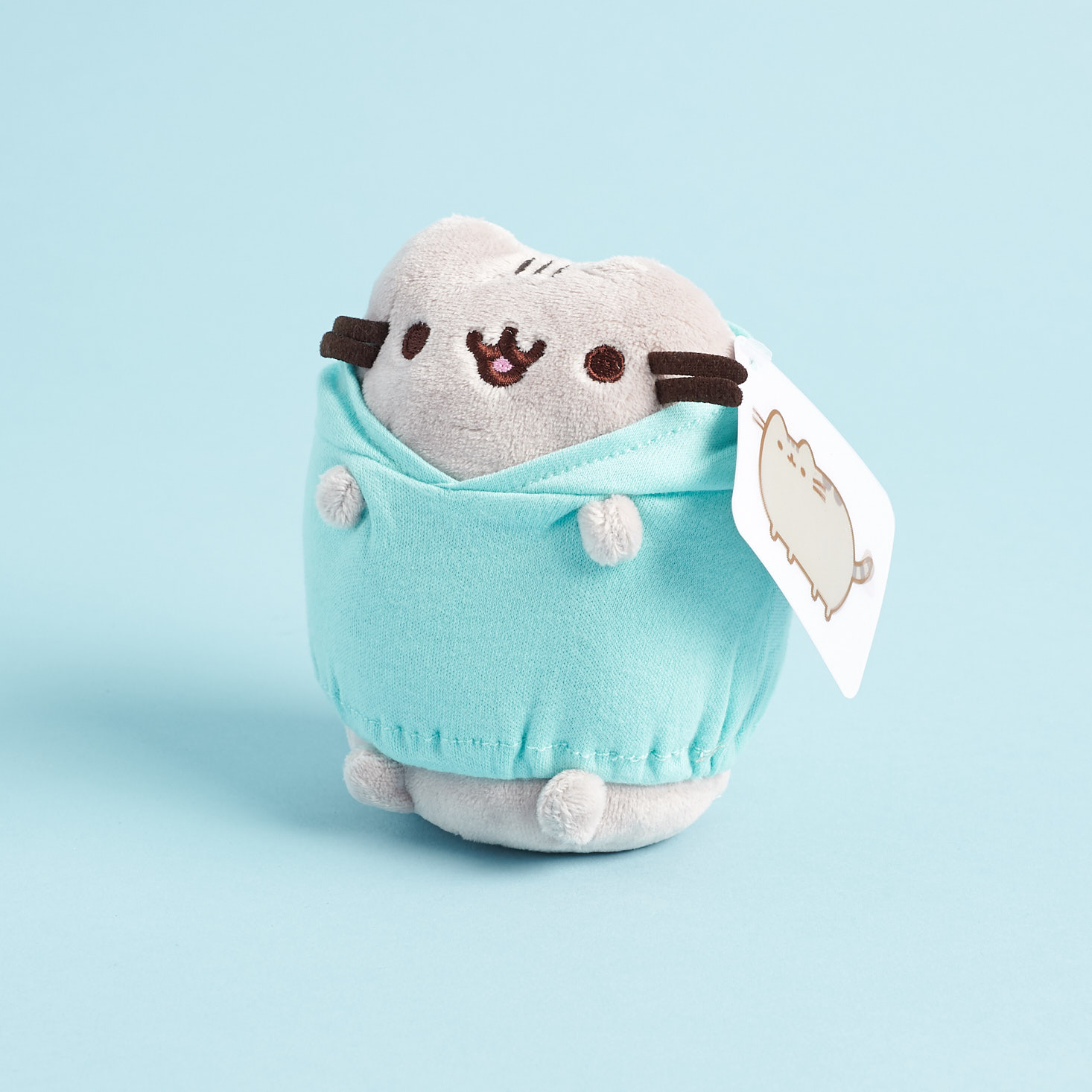 Pusheen Box Subscription Review - Spring 2019 | MSA