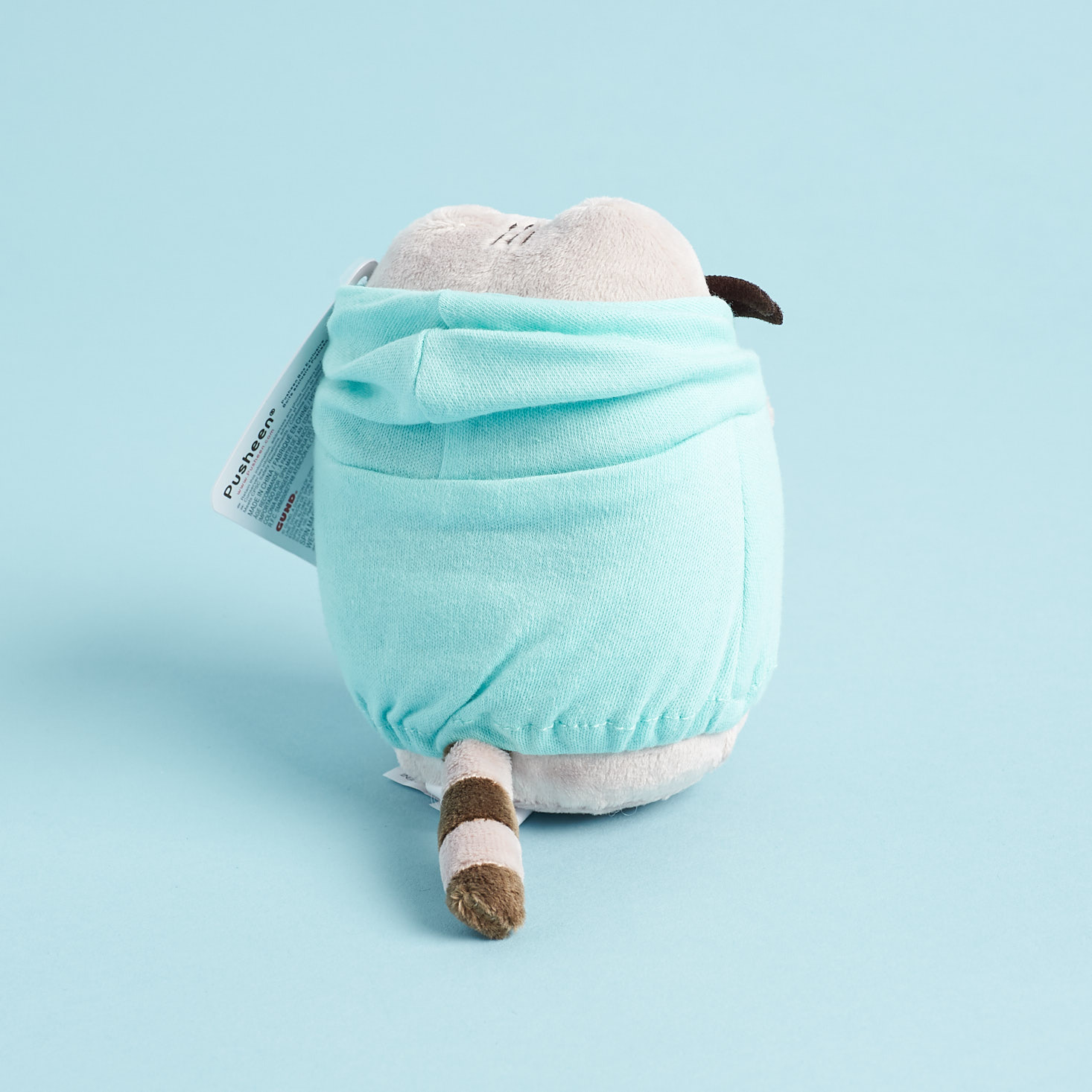 Pusheen Box Subscription Review - Spring 2019 | MSA