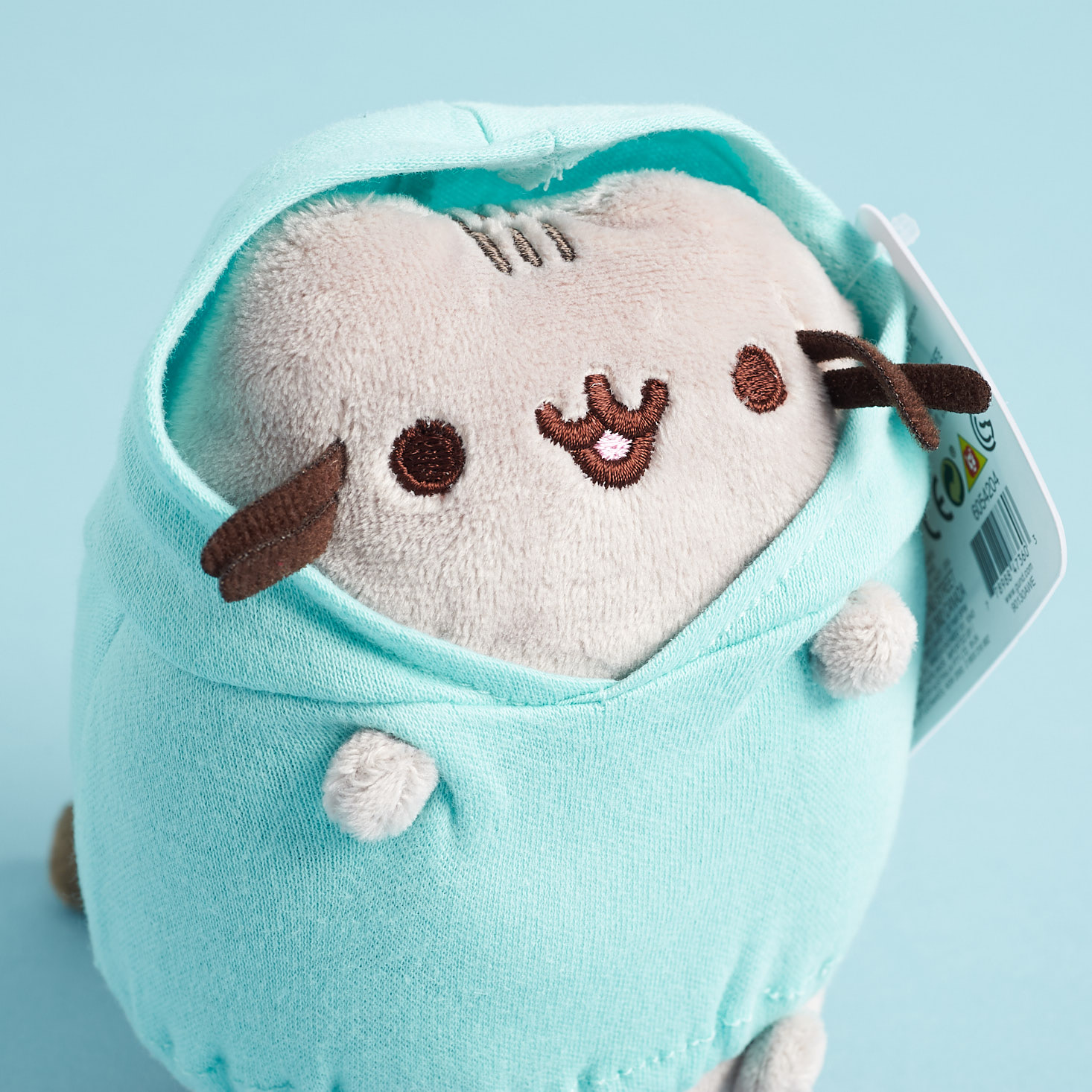 Pusheen Box Subscription Review - Spring 2019 | MSA
