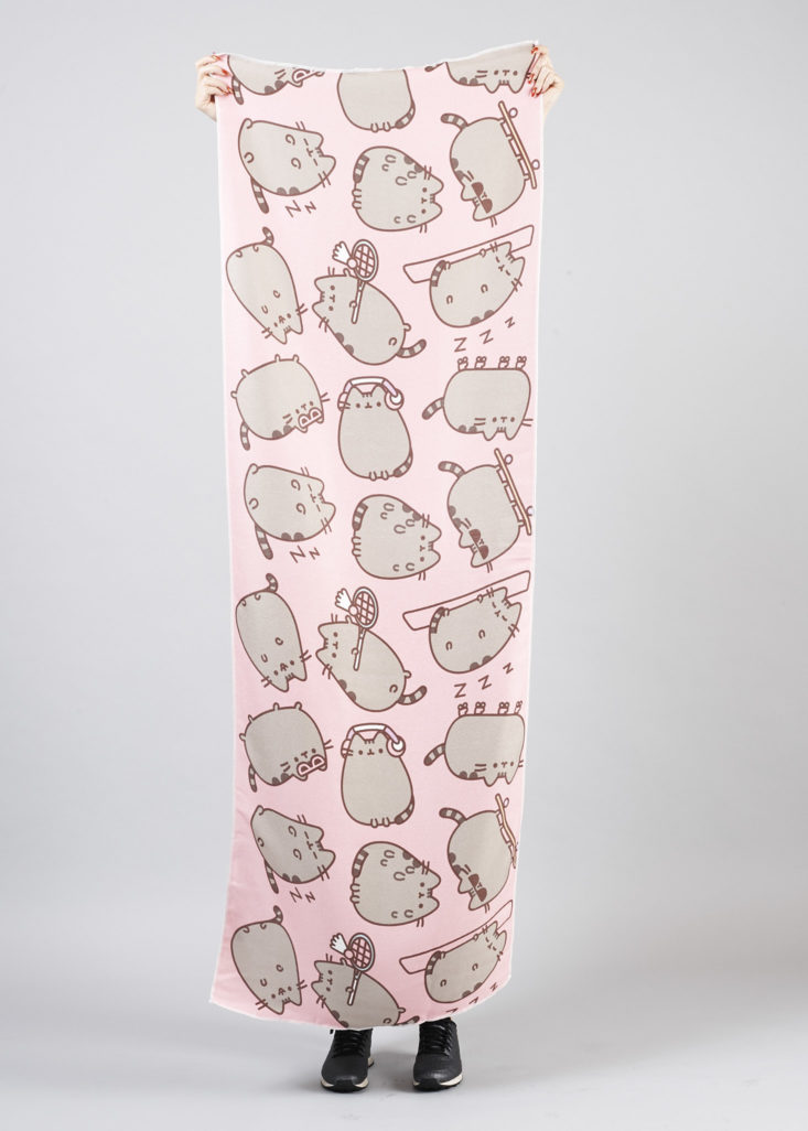 Pusheen Box Subscription Review - Spring 2019 | MSA