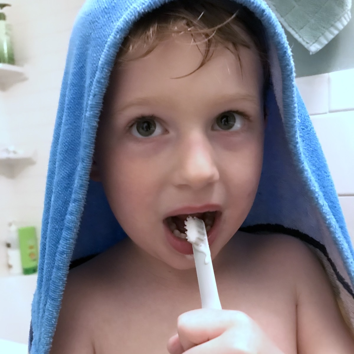 Our Quip Toothbrush Review For Kids | My Subscription Addiction