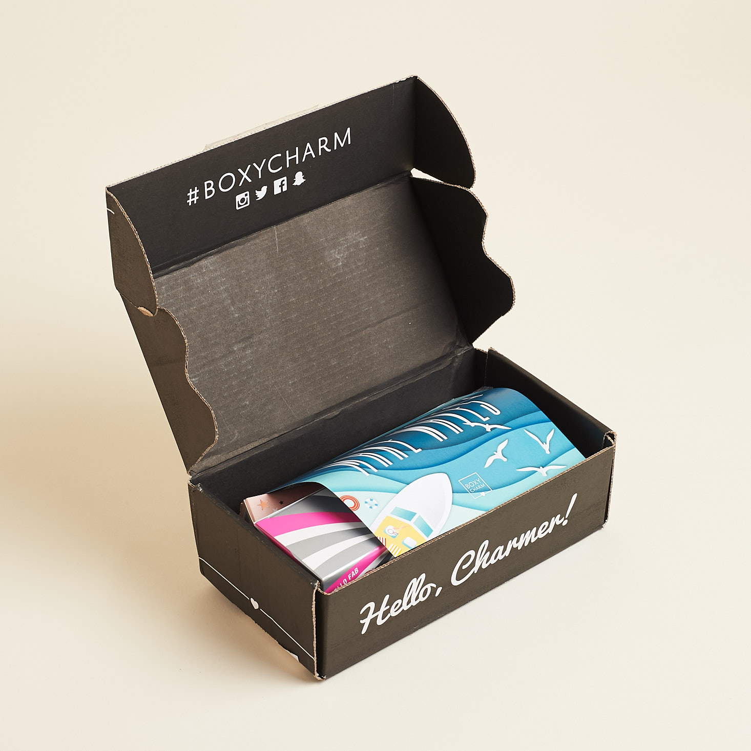 BoxyCharm Subscription Box Review - May 2019 | MSA