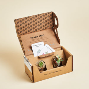 The 6 Best Plant Subscription Boxes in 2026 | My Subscription Addiction