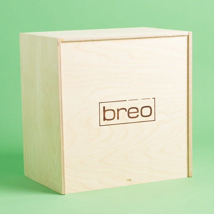 Breo Box Subscription Review Spring 2019 + Coupon | MSA