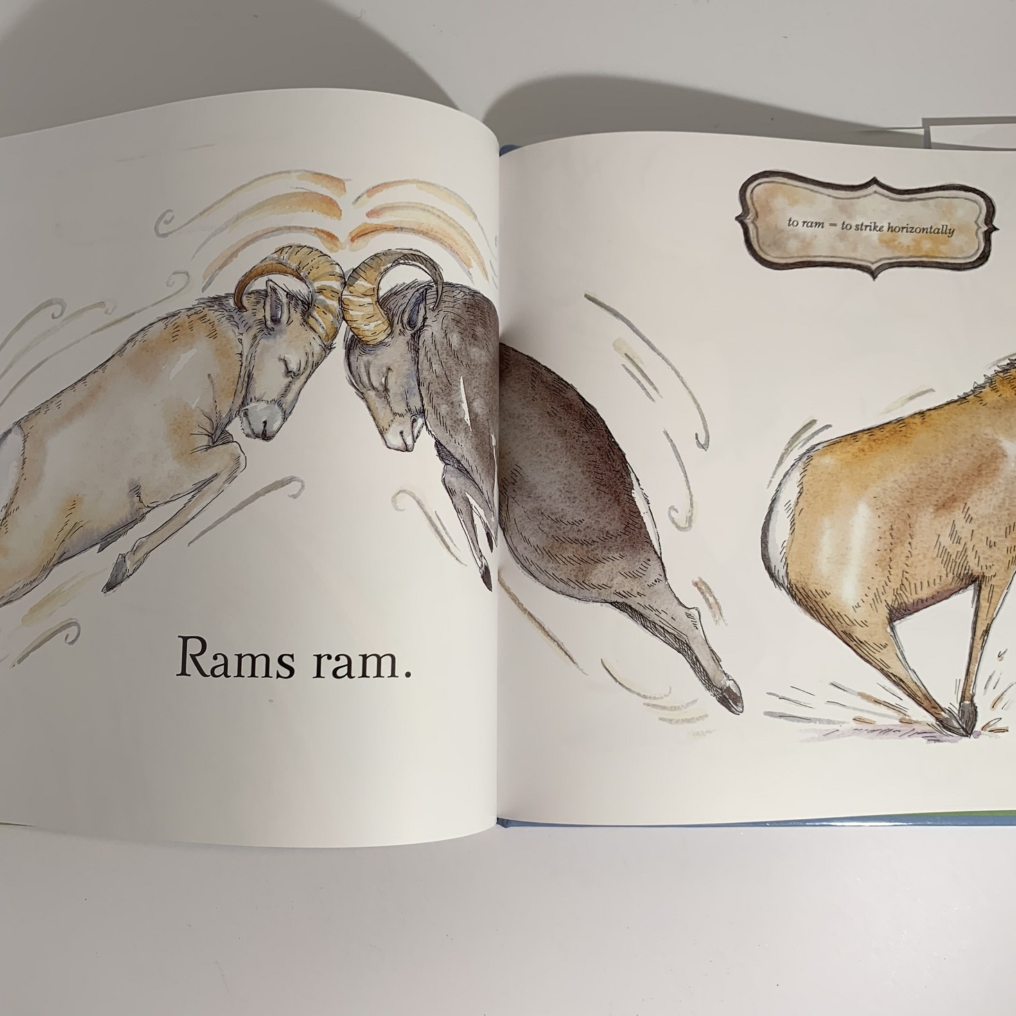 Amazon Prime Book Box, Ages 6 – 8 Review - April 2019 | MSA